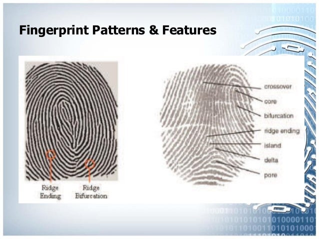 Fingerprint recognition