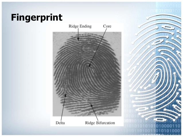 Fingerprint recognition