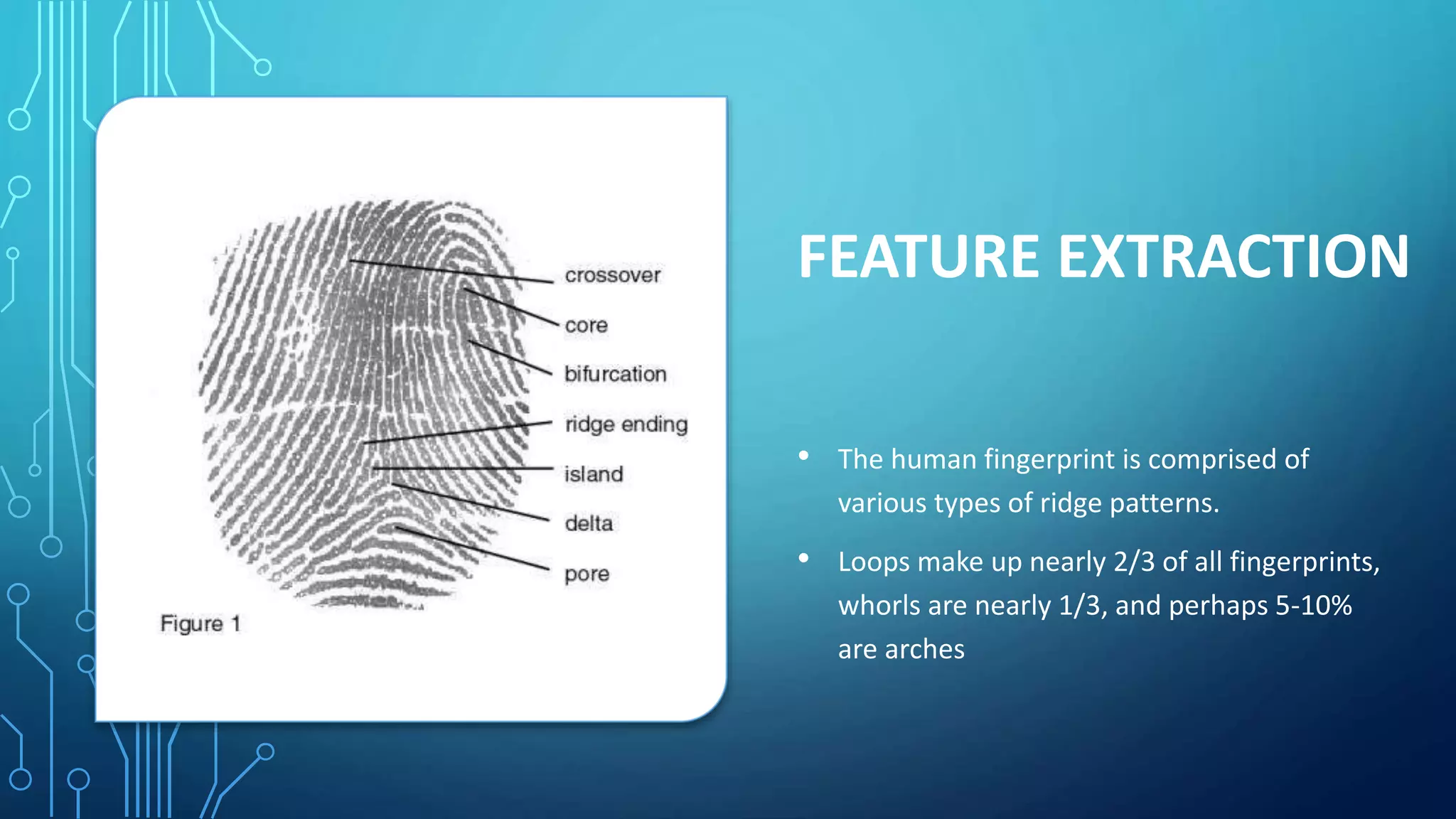 Fingerprint recognition | PPT