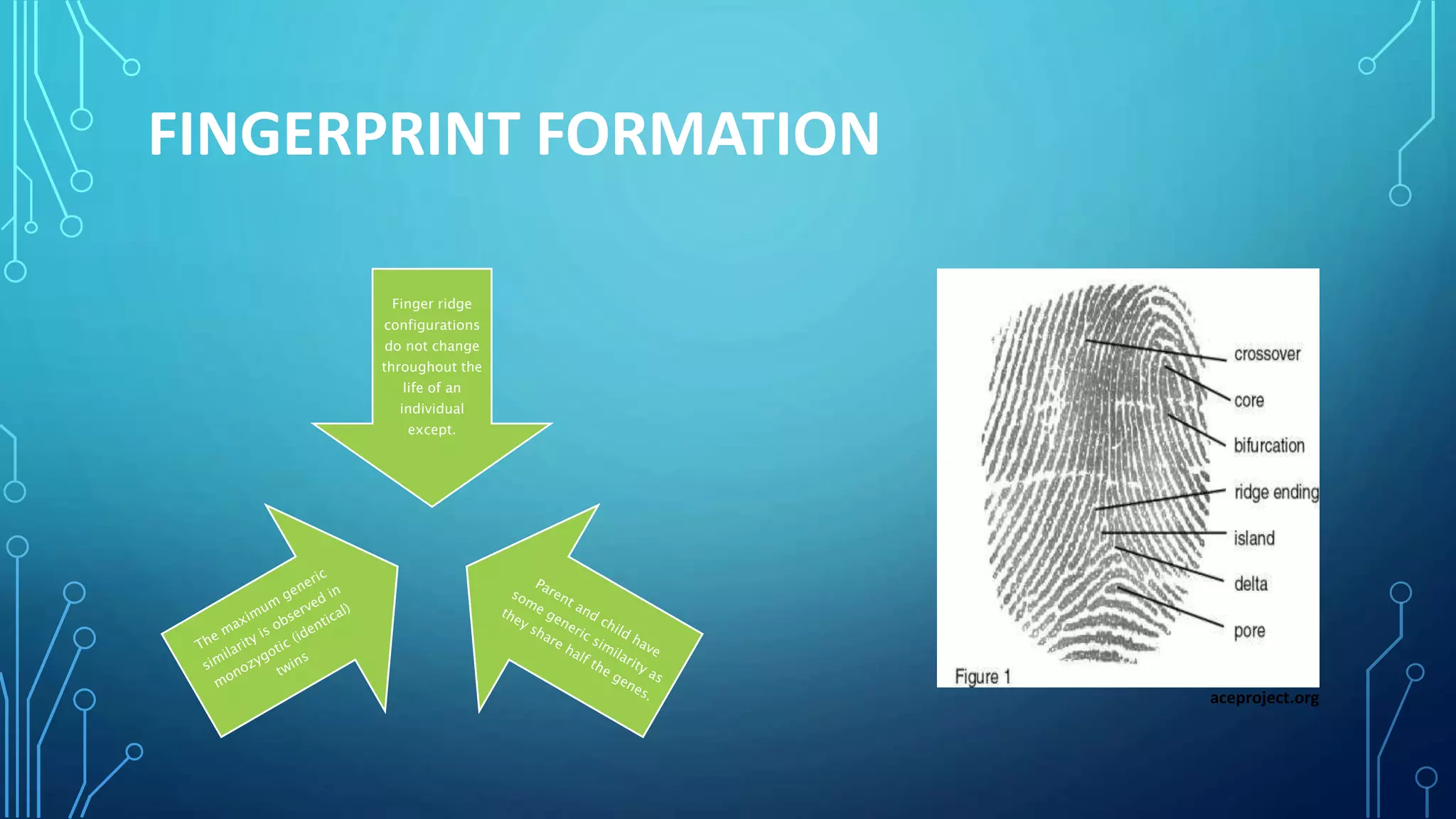 Fingerprint recognition | PPT