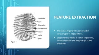 Fingerprint recognition | PPT