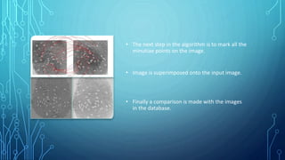 Fingerprint recognition | PPT