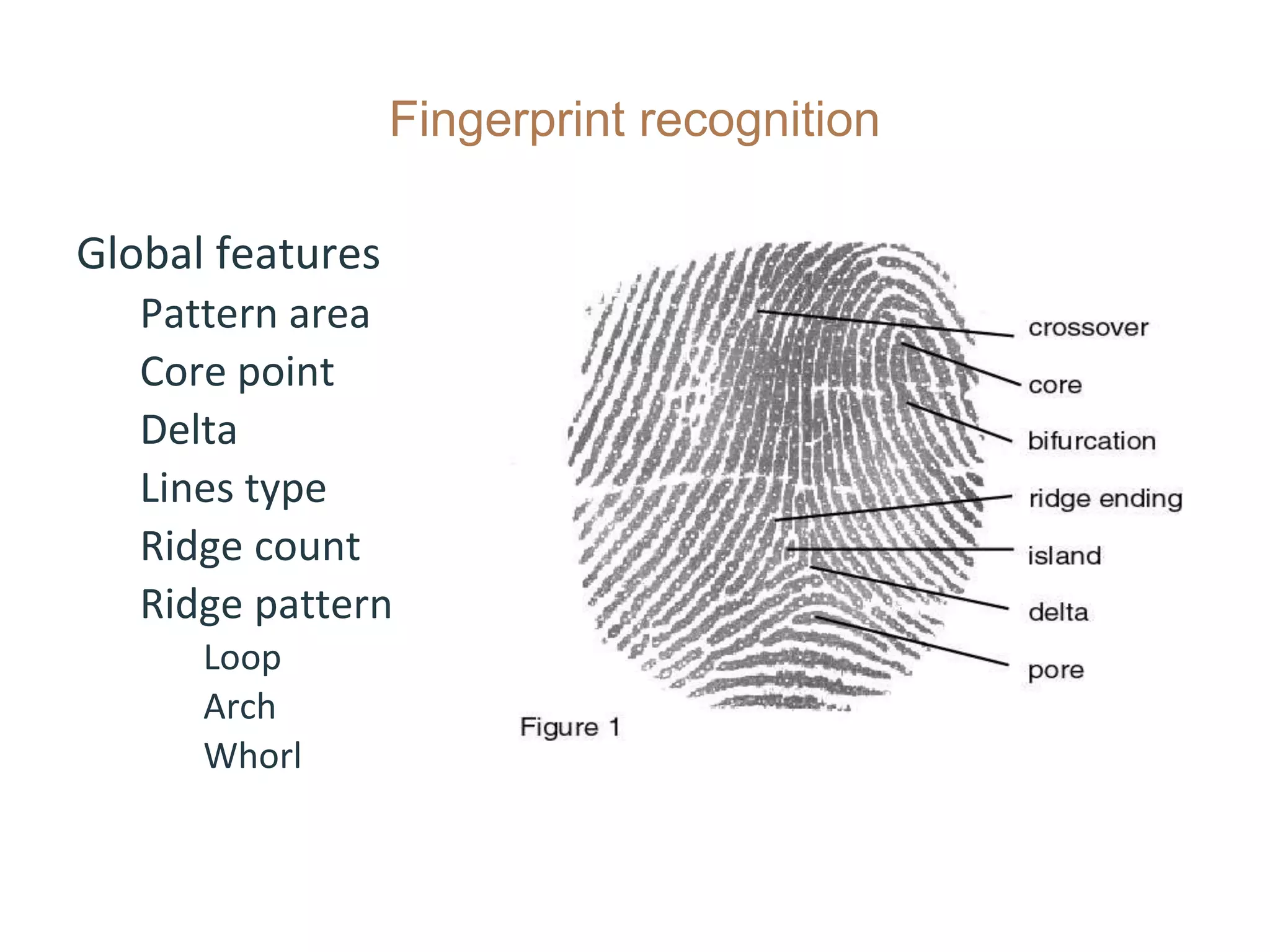 Fingerprint recognition | PPTX