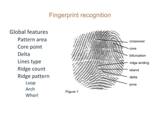 Fingerprint recognition | PPT