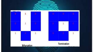 Fingerprint recognition algorithm | PPTX