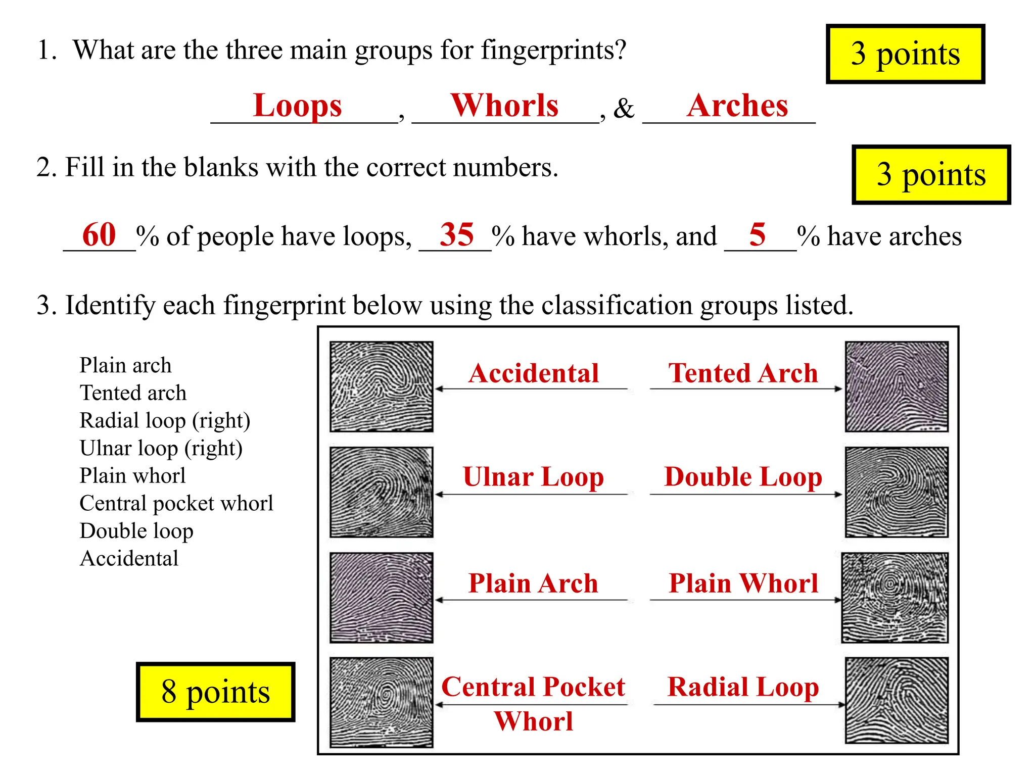 fingerprintreview.ppt | Style & Fashion