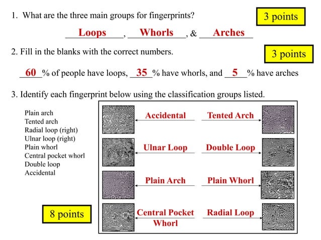 fingerprintreview.ppt