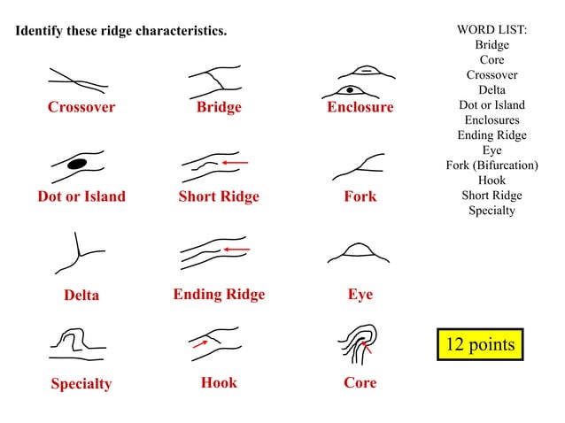 fingerprintreview.ppt