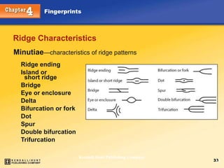 Fingerprint Ridge Characteristics Worksheet