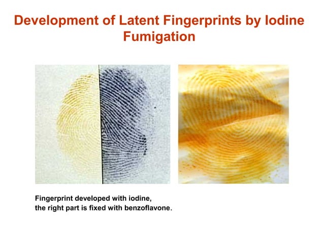 Fingerprints | PPT | Chemistry | Science