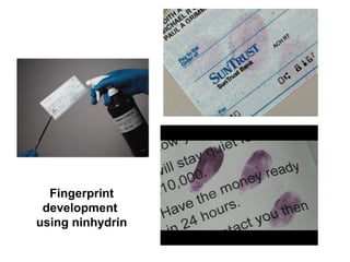 Fingerprints | PPT