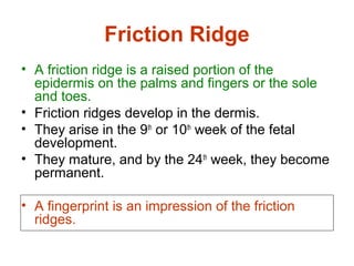 Fingerprints | PPT