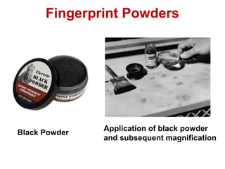 Fingerprints | PPT