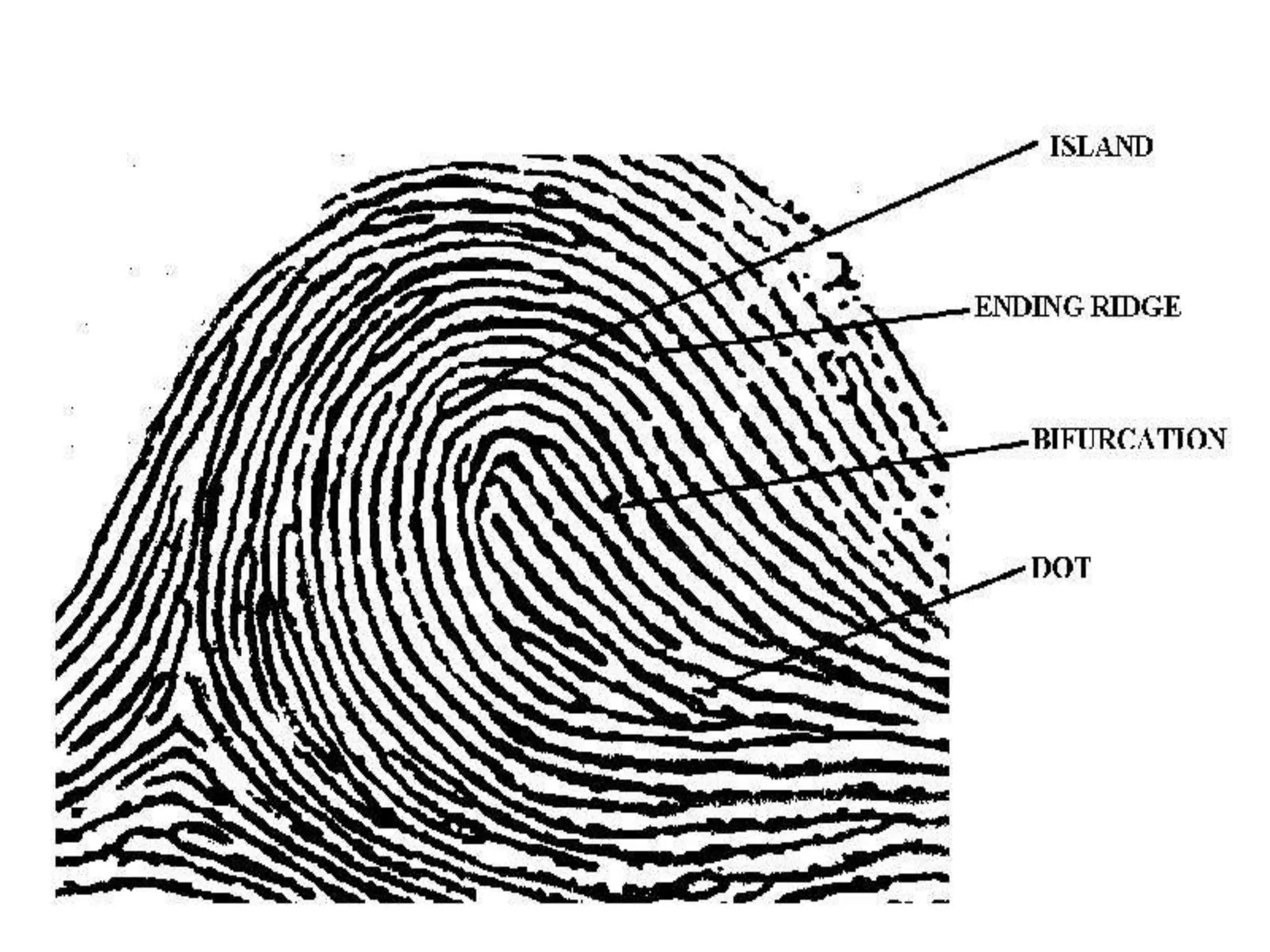 Fingerprints | PPTX