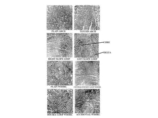 Fingerprints | PPTX