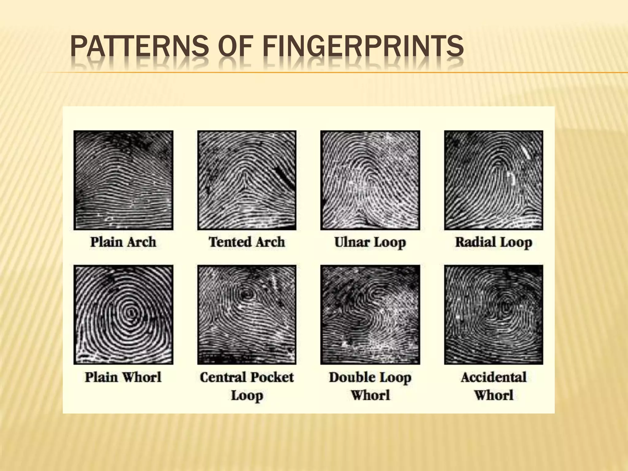 fingerprints-1uo8z6z.pptx