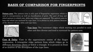 Fingerprint - Everything You Need To Know About Fingerprints | PPTX