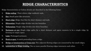 Fingerprint - Everything You Need To Know About Fingerprints | PPTX