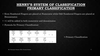 Fingerprint - Everything You Need To Know About Fingerprints | PPT