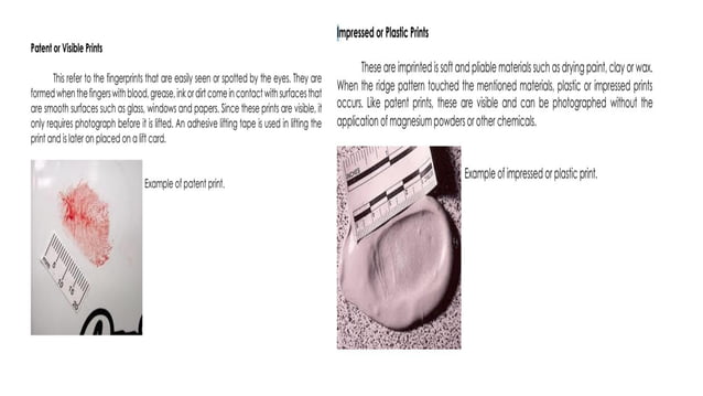 Finger Prints IN FORENSIC PATHOLOGY.pptx