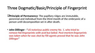 Finger Prints IN FORENSIC PATHOLOGY.pptx