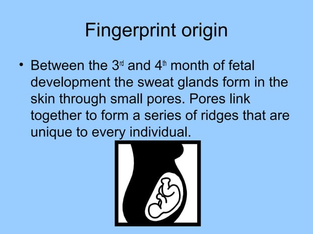 Fingerprints and ridge characteristics | PPT | Skin and Dermatology ...