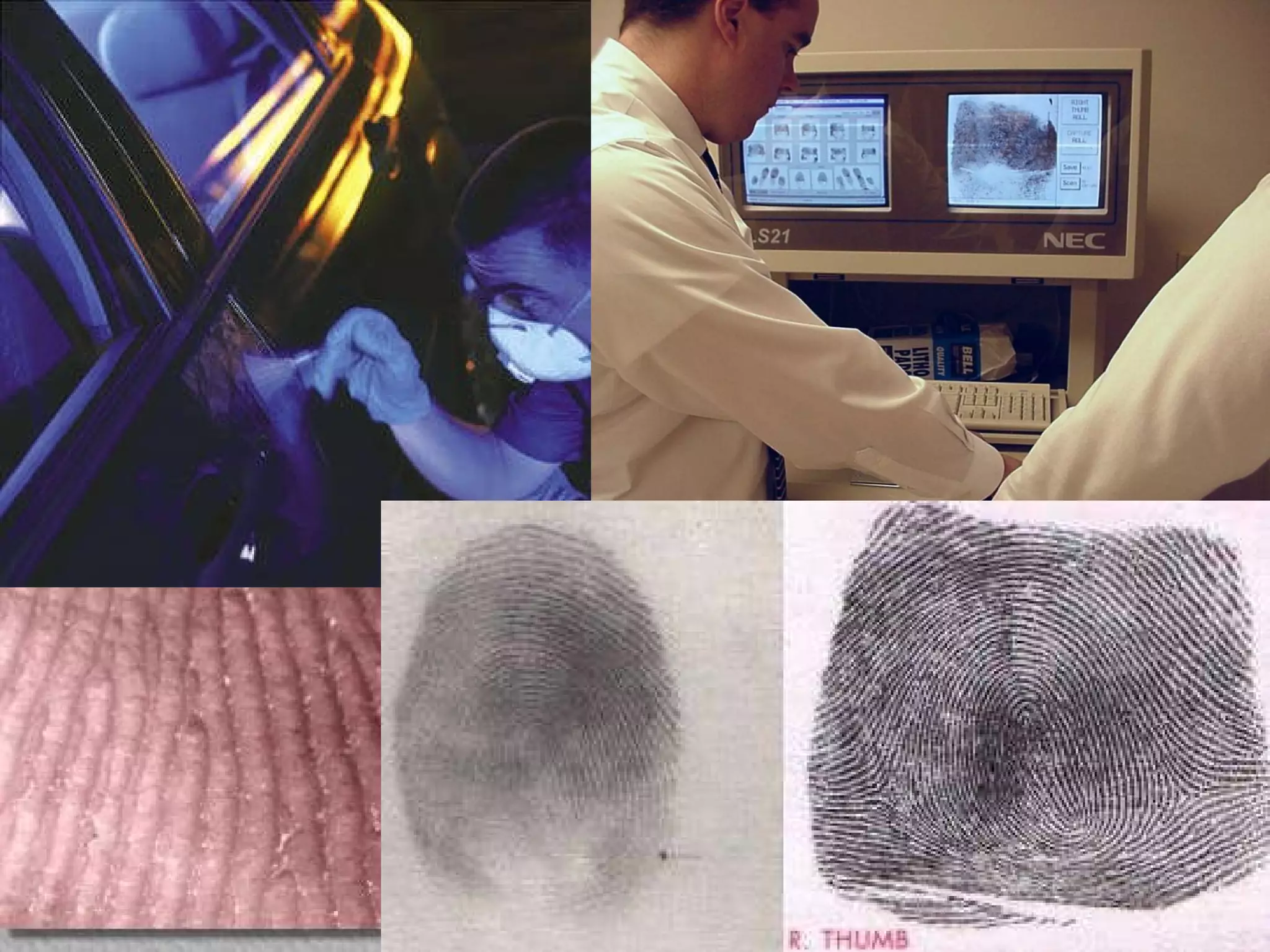 Fingerprints basics for scouts | PPT