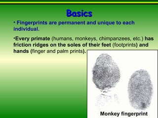 Fingerprints basics for scouts | PPT