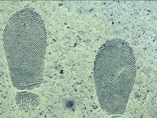 Fingerprints basics for scouts | PPT