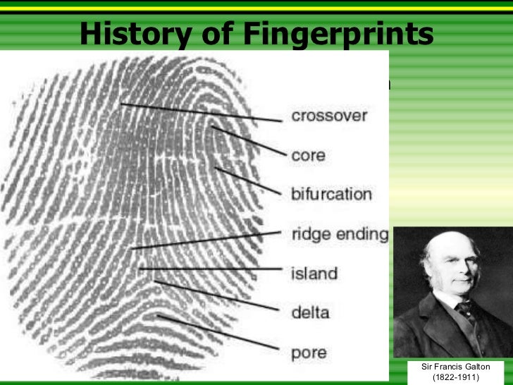 Fingerprints basics for scouts
