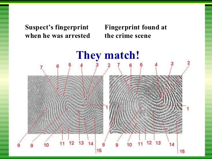 Fingerprints basics for scouts