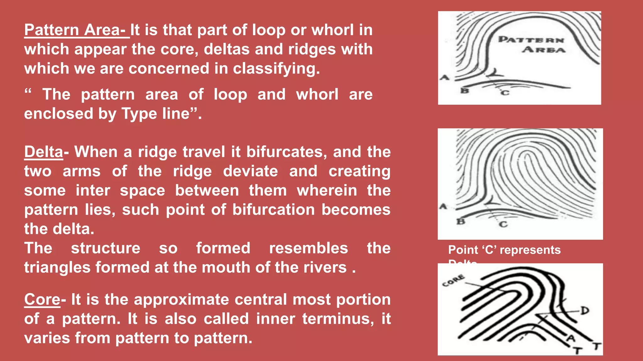 Fingerprint science | PPTX