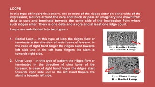 Fingerprint science | PPTX