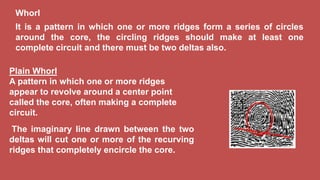 Fingerprint science | PPTX