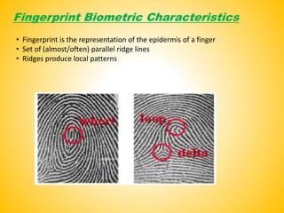 Fingerprint seminar | PPT
