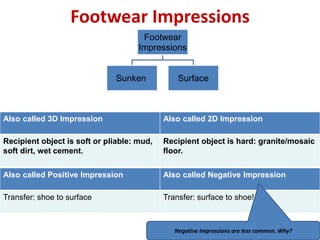 Fingerprints, Footprint Impressions, and Tire Impressions | PPTX