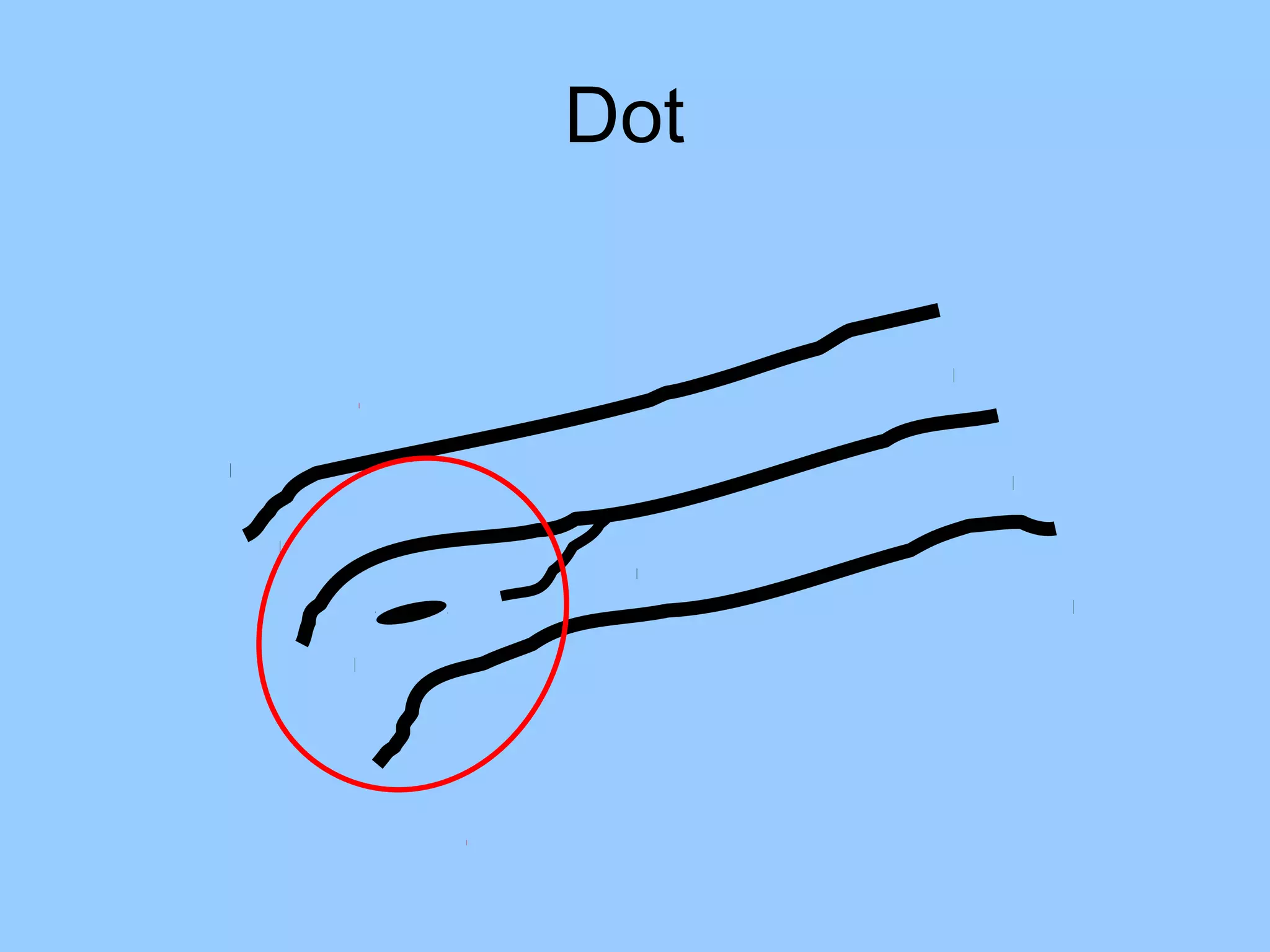 Fingerprint development and Ridge Characteristics | PPT