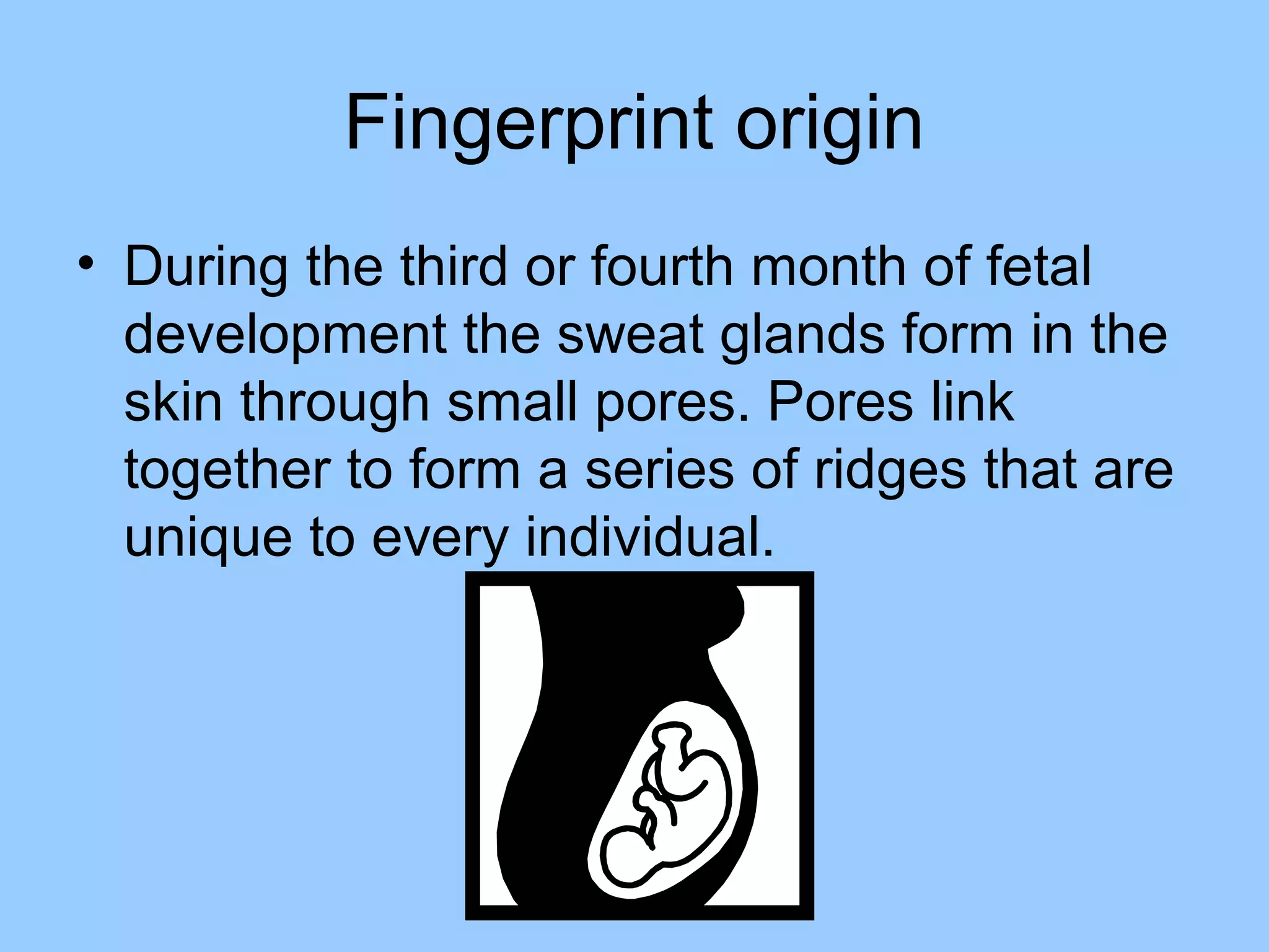 Fingerprint development and Ridge Characteristics | PPT