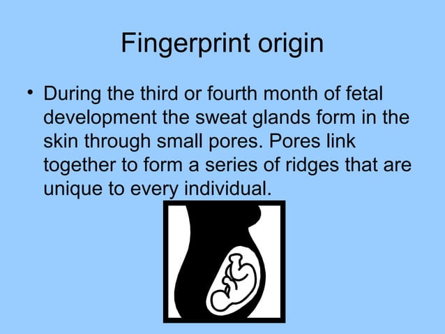 Fingerprint development and Ridge Characteristics | PPT