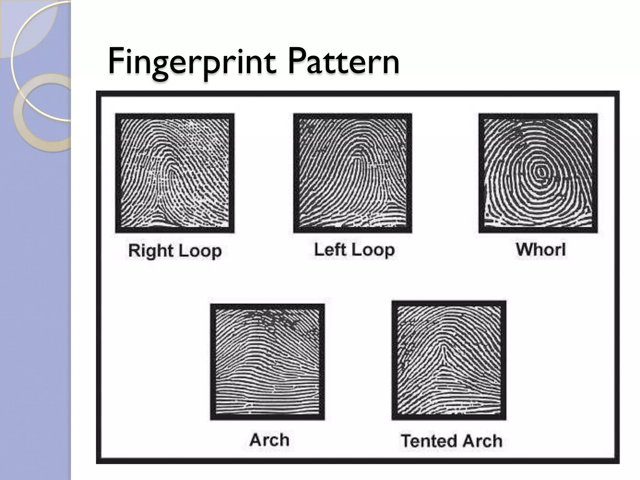 Fingerprints recognition | PPTX