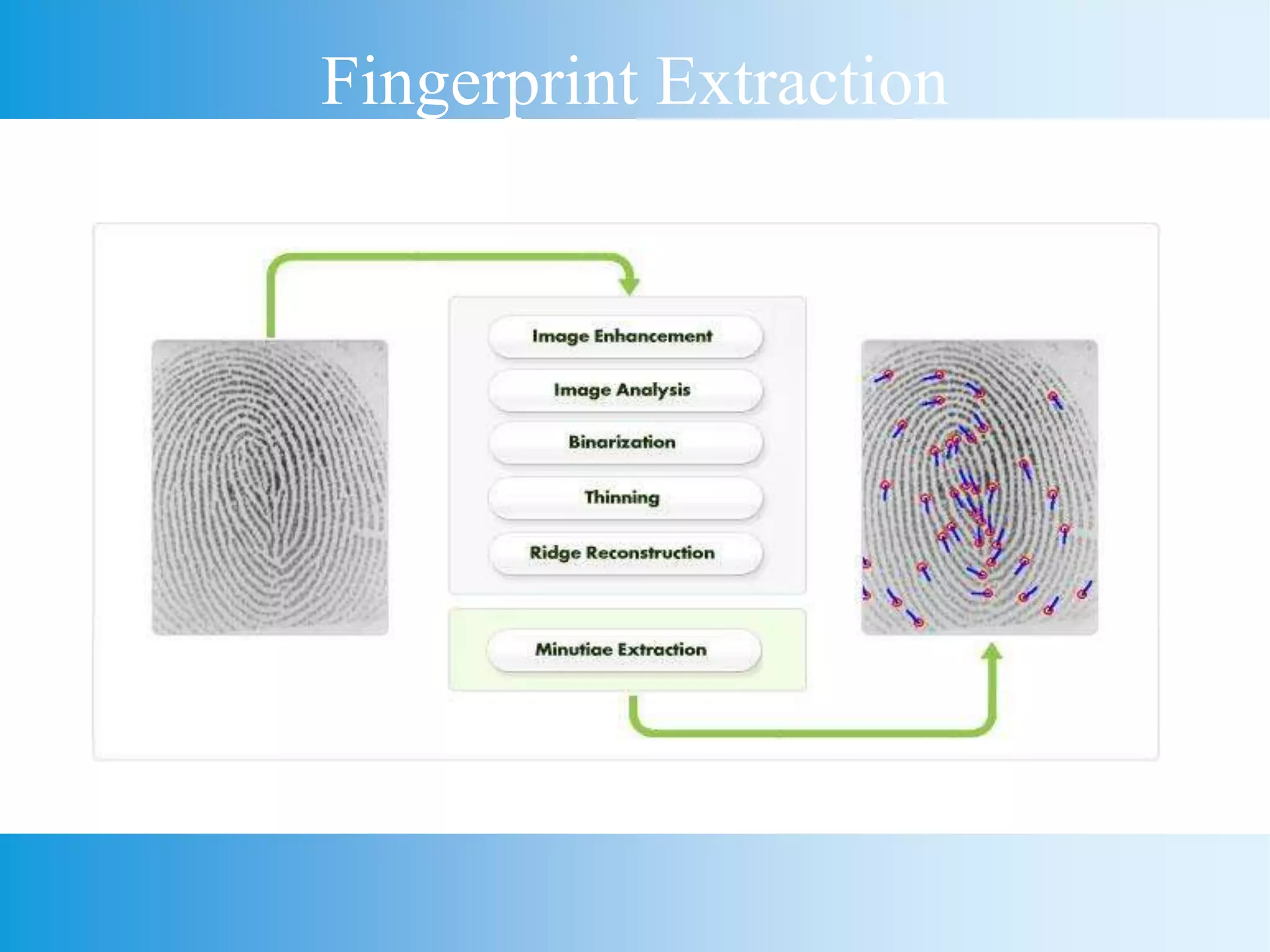 Fingerprint Voting System.pptx | Computer Peripherals | Computing