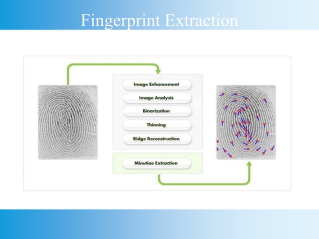 Fingerprint Voting System.pptx | Computer Peripherals | Computing