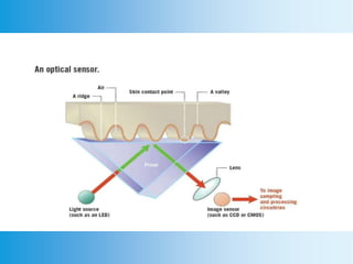 Fingerprint Voting System.pptx