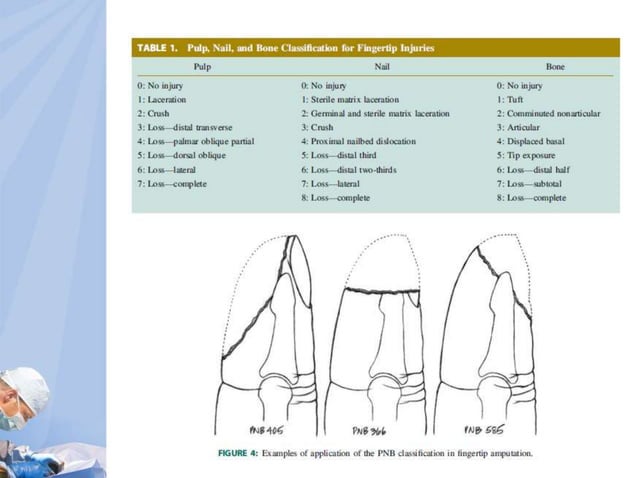 Finger tip injury | PPTX | First Aid | Injuries