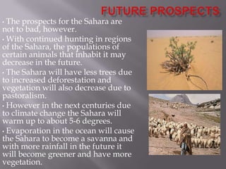 The Saharan Desert | PPTX