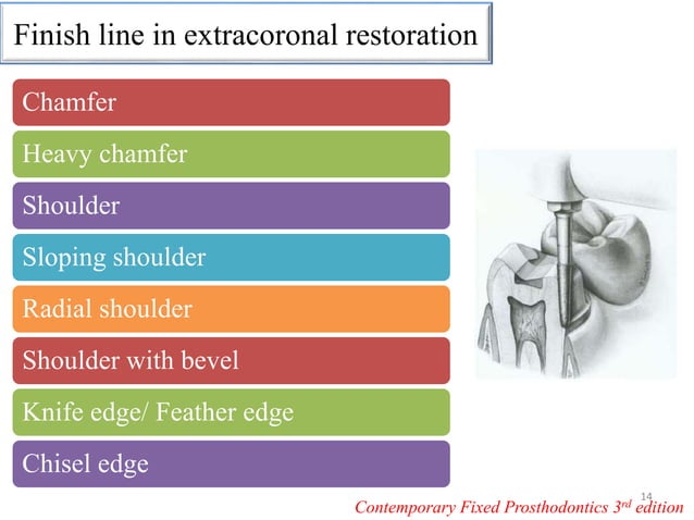 Finish lines (3) final | PPTX | Dental Health | Diseases and Conditions