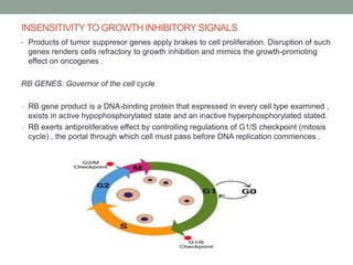 Neoplasia & Carcinogenesis | PPTX