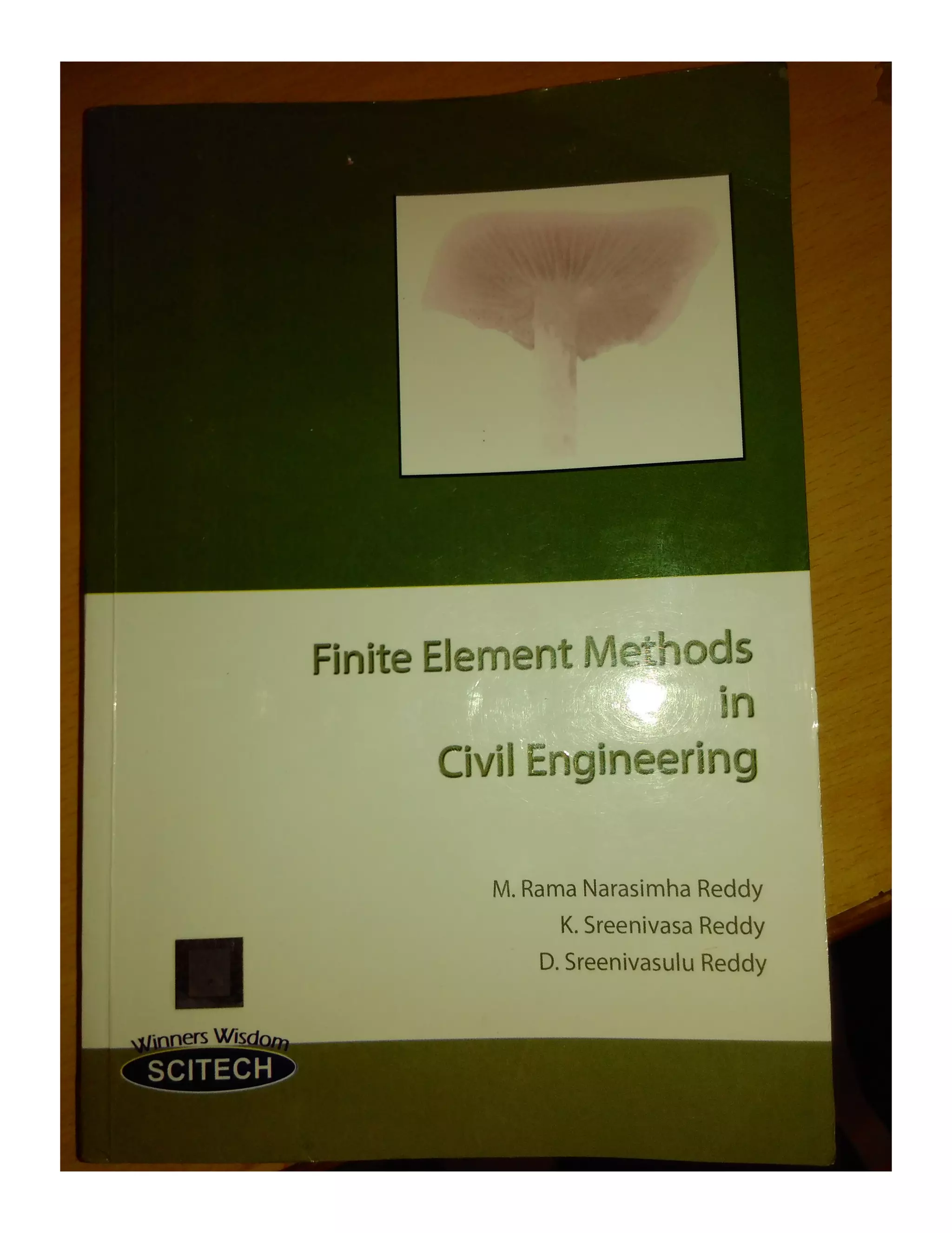 Finite element methods | PDF