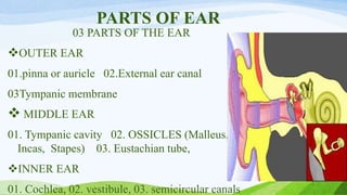 PRESENTATION ON EAR.pptx