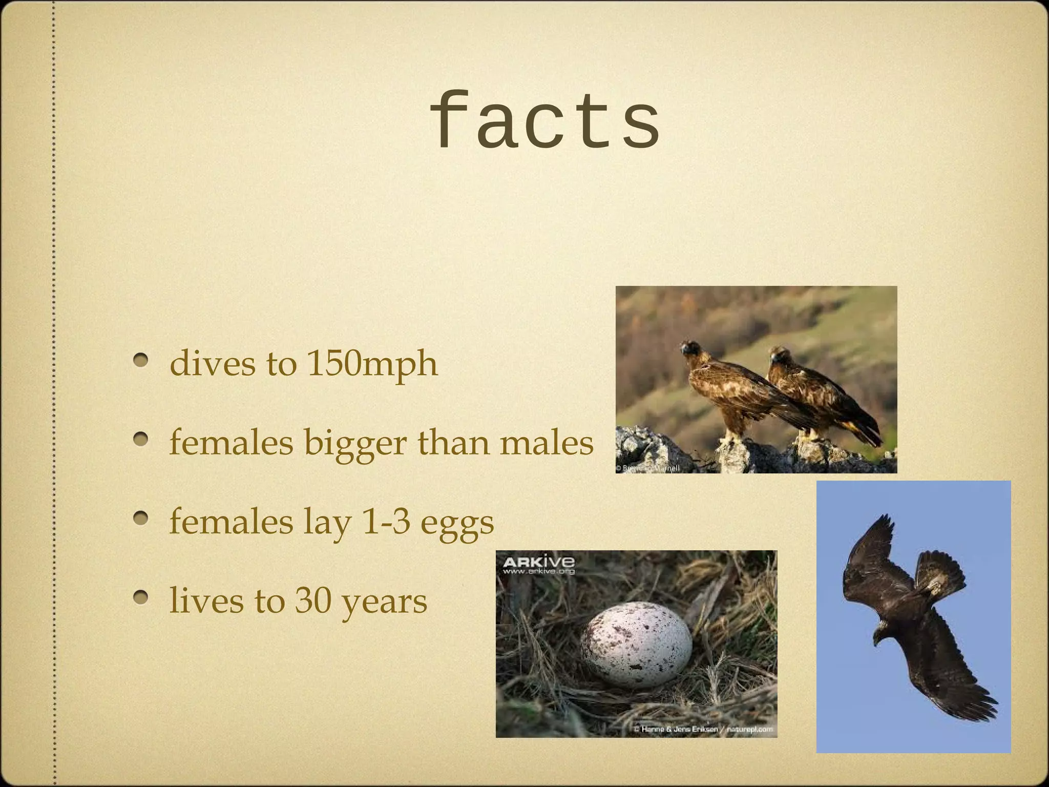 Finn and Quinn | PPT